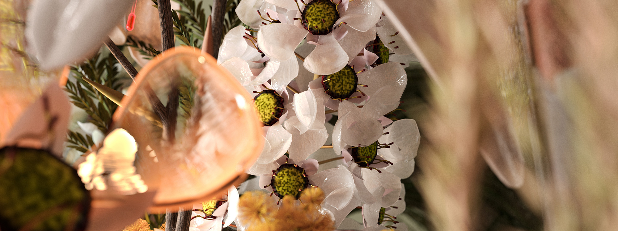 The Canopy - South Melbourne